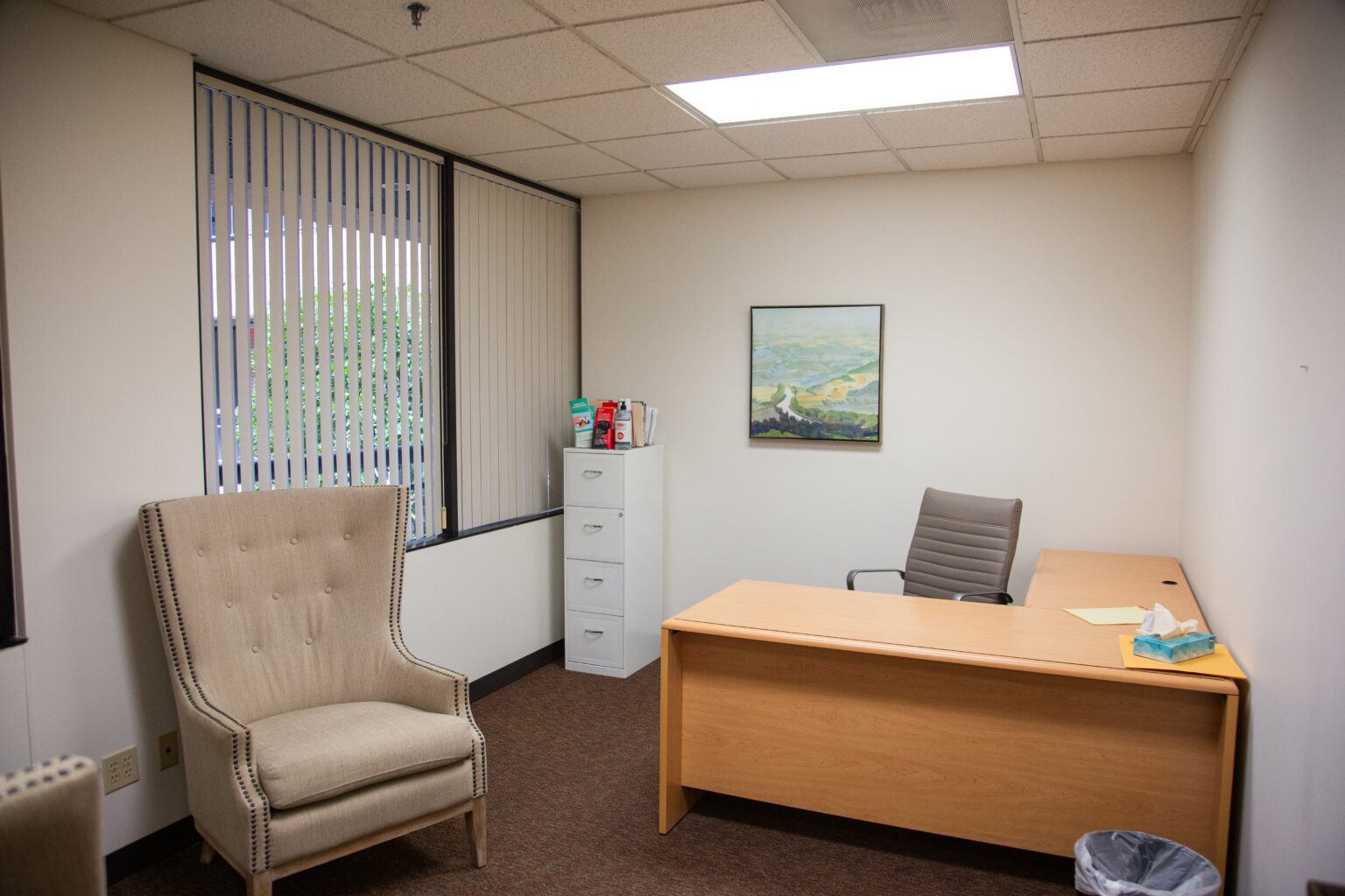 San Diego, CA Therapy & Mental Health Services - Headlight